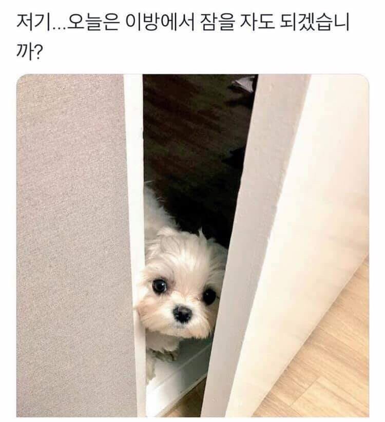 스푼 캐스트 | DJ 2na*****님의 친구간지럼ᴀsᴍʀ (feat.츠미)